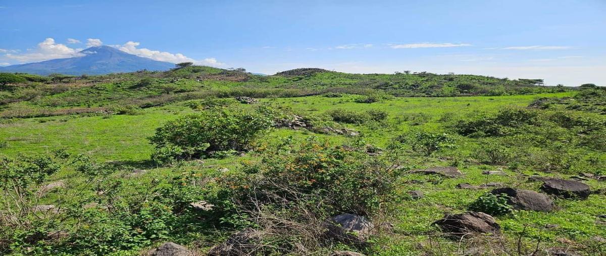Rancho en Carretera Queseria-Montitlan, Cuauhtémo... - Propiedades.com