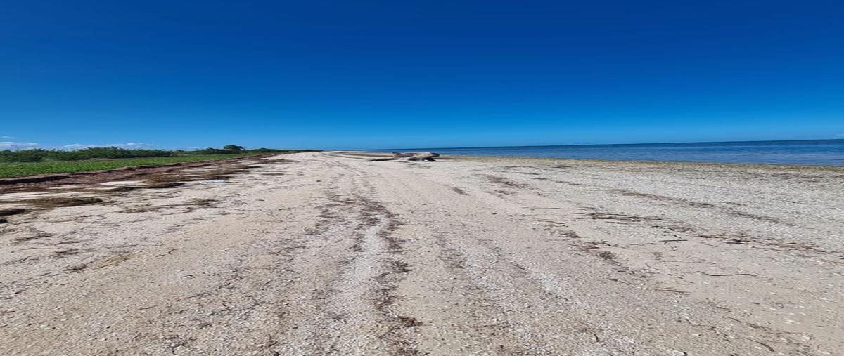 Terreno Habitacional en Chabihau, Yobaín, Yucatán... - Propiedades.com