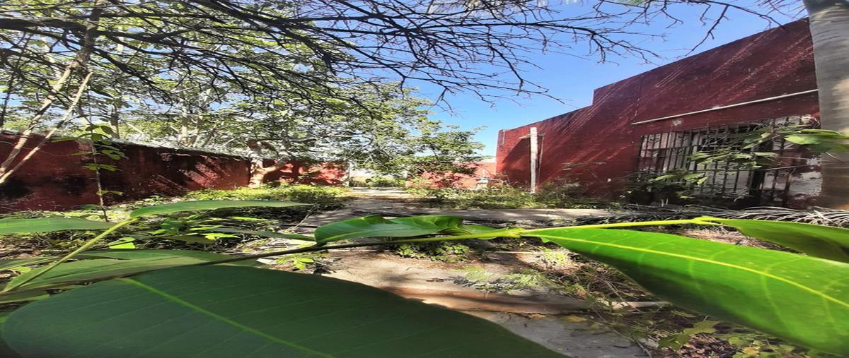 Casa en Cupules, Mérida, Yucatán, Cupules, Yucatá... - Propiedades.com