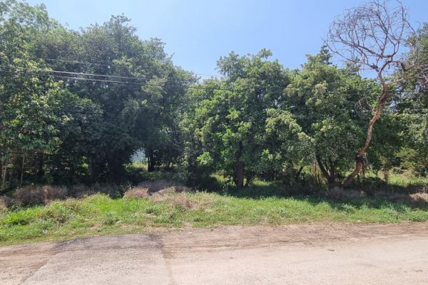 Terreno Habitacional en Roble, Jardines de la Sil... - Propiedades.com