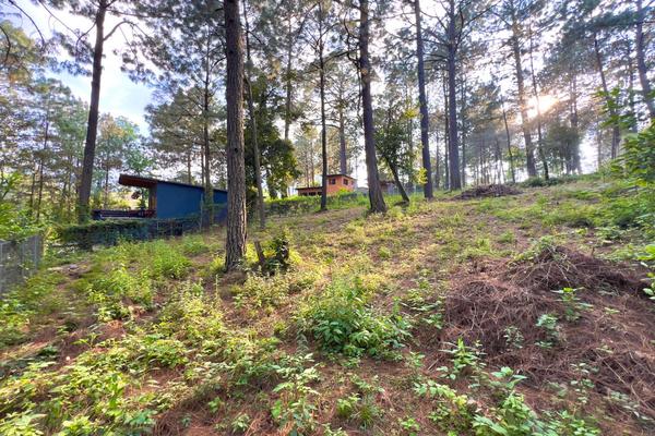 Terreno en venta disponible en cerro gordo, Colonia Valle de Bravo, C.P ...