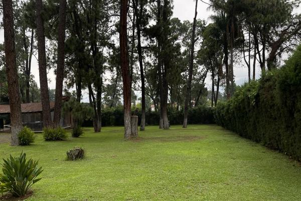 Terreno Habitacional en RUTA DEL BOSQUE, Avándaro... - Propiedades.com