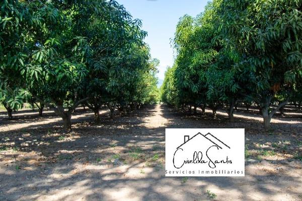 Venta rancho en Carretera libre Armeria Manzanillo, Colonia Sa...