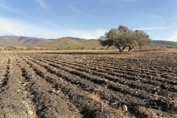 Terreno Habitacional en Cerritos, San Miguel de A... - Propiedades.com