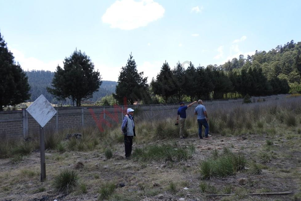 Terreno Habitacional en Ejido Santiago Analco Seg... - Propiedades.com