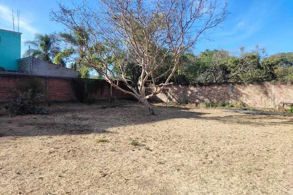 Terreno disponible en venta en , Colonia La Primavera, C.P. 45226