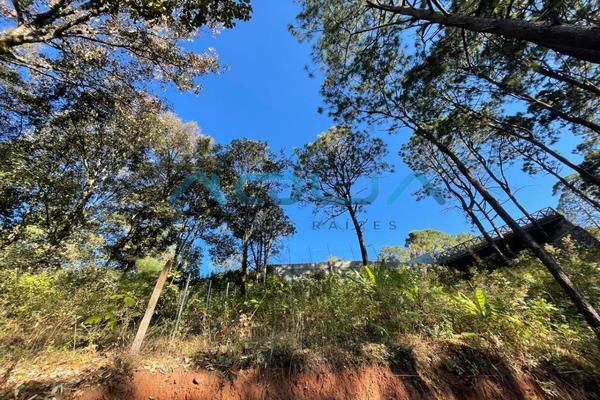 Terreno Habitacional en RINCON DEL BOSQUE, Avánda... - Propiedades.com